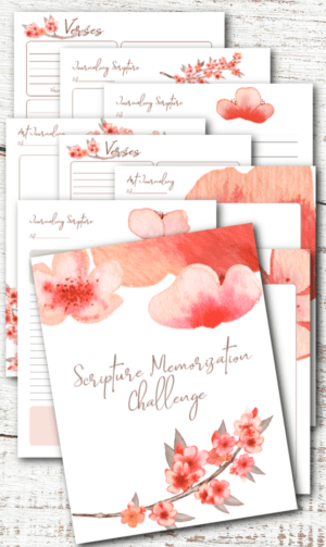 Hebrews 11 Bible Verse Memorization Pack - A Little R & R