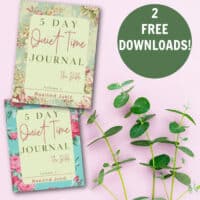 5 Day Quiet Time Journal - the Bible - FREE PRINTABLE - A Little R & R