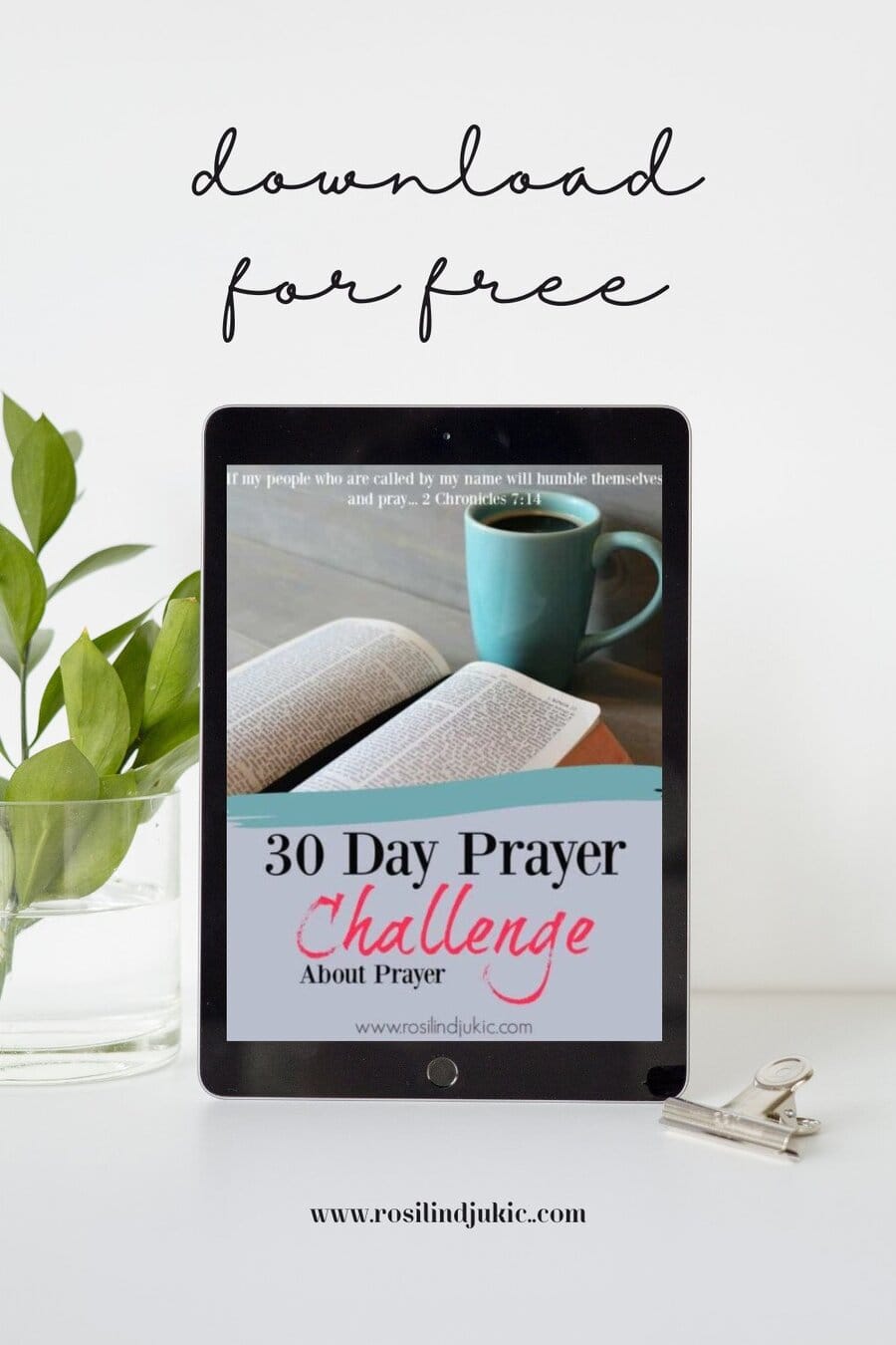 30 Day Prayer Challenge for Prayer - FREE DOWNLOAD - A Little R & R 30 Day Prayer Challenge for Prayer - FREE DOWNLOAD - A Little R & R